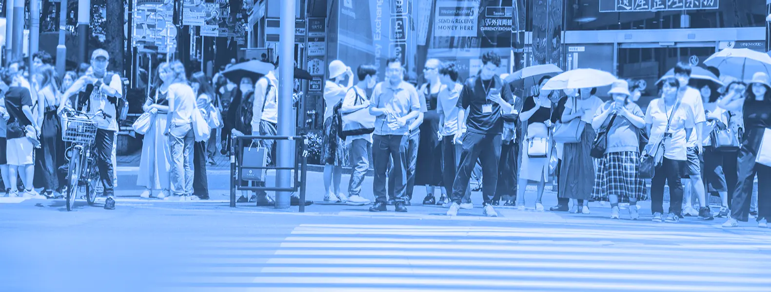 事業内容 | P.Partner株式会社