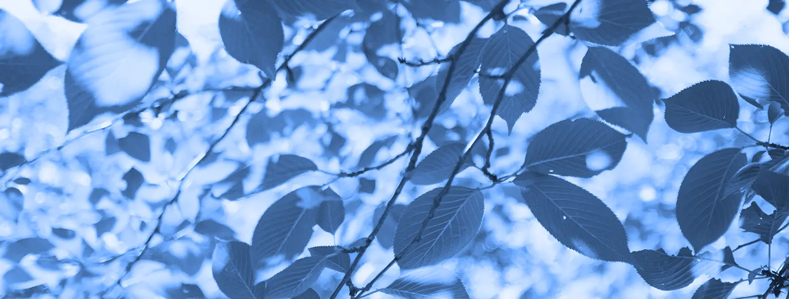 経営理念 | P.Partner株式会社